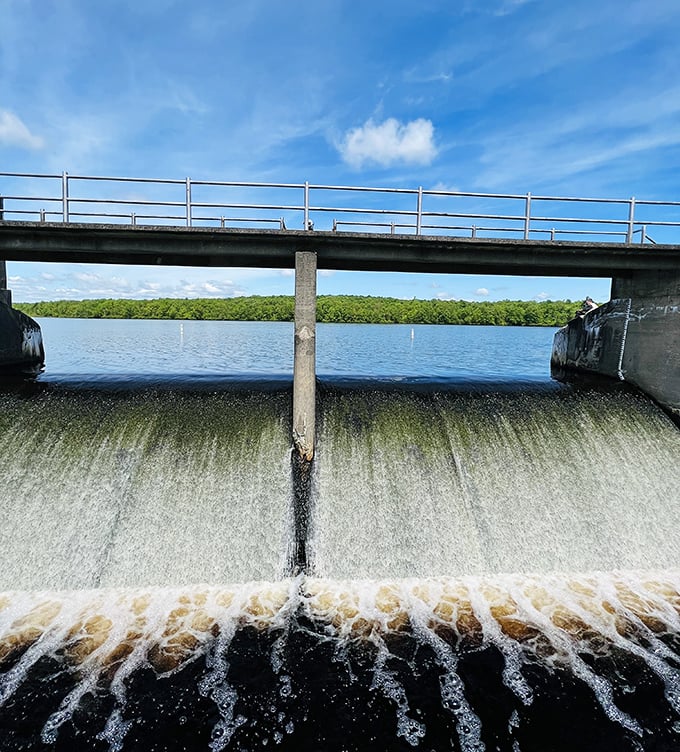 Engineering meets enchantment at Tobyhanna's dam, where rushing water creates a symphony that even Mozart would have appreciated.