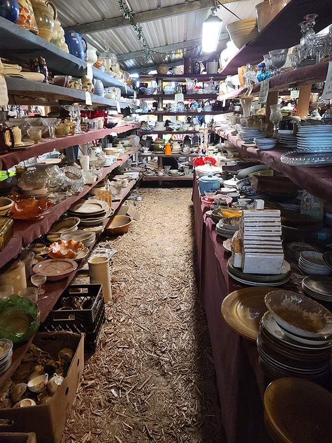 Grandma's china cabinet has nothing on this dishware paradise. Somewhere in here is the perfect replacement for that plate your cousin "accidentally" broke in 1997.