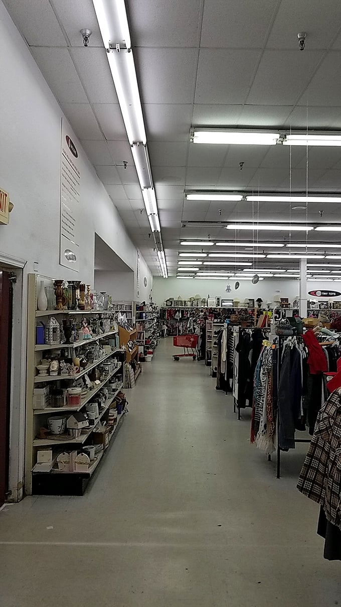 Aisle after glorious aisle of organized chaos—where housewares meet fashion in a retail symphony that would make Marie Kondo both anxious and impressed.