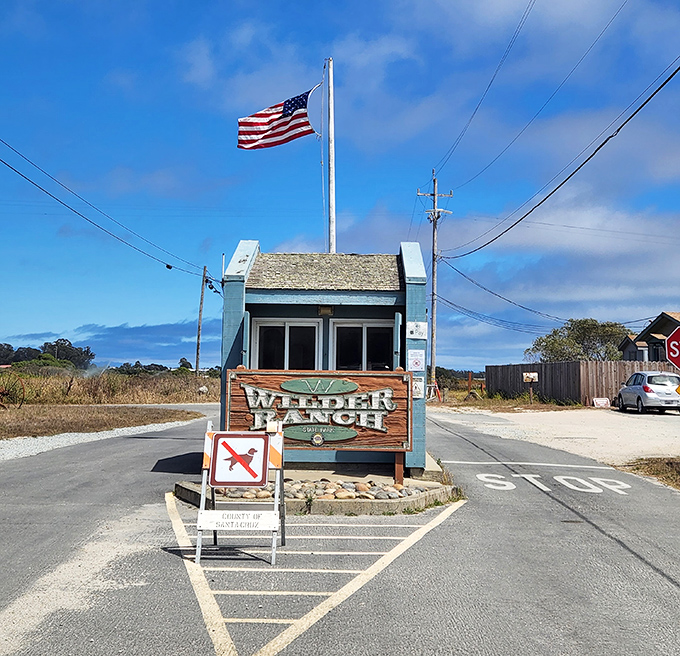 This unassuming entrance booth is California's version of a wardrobe to Narnia—step through and enter a coastal wonderland.