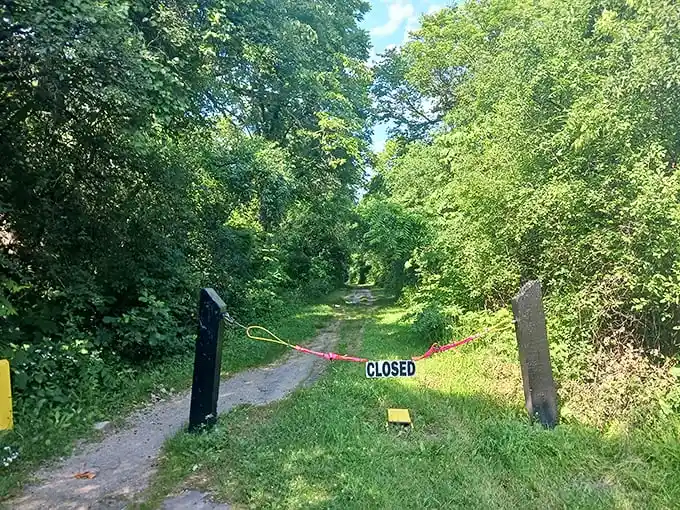 Nature reclaims what humans have abandoned. This "CLOSED" sign might as well read "Enter at your own risk."