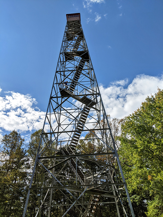 The fire tower stands like a metal stairway to heaven. Those with acrophobia, consider yourselves warned—the view is worth sweaty palms.