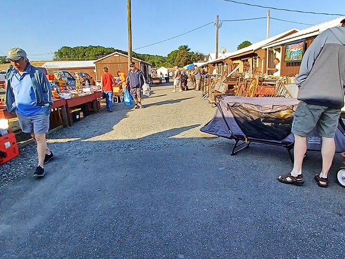 Treasure hunting requires proper equipment: comfortable shoes, cash in small bills, and the ability to spot that perfect something from twenty paces.
