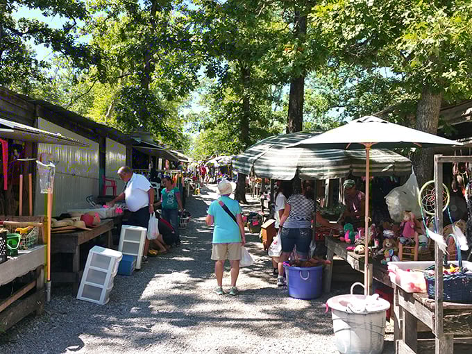 Summer transforms these gravel paths into treasure-hunting boulevards where every umbrella shades a potential discovery.