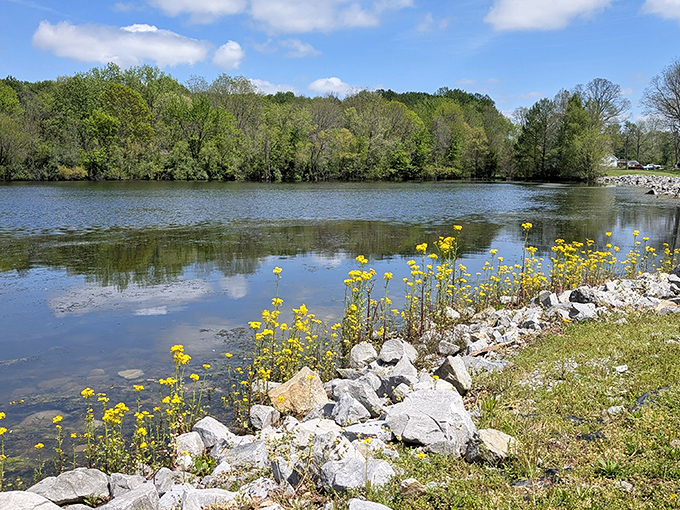 Nature's waterfront property—where wildflowers stand guard over the tranquil waters of the Wabash River.