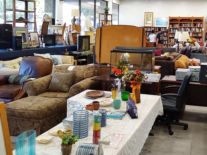 Not just furniture, but conversation pieces with stories to tell. That brown sectional has probably hosted more fascinating discussions than most talk shows.