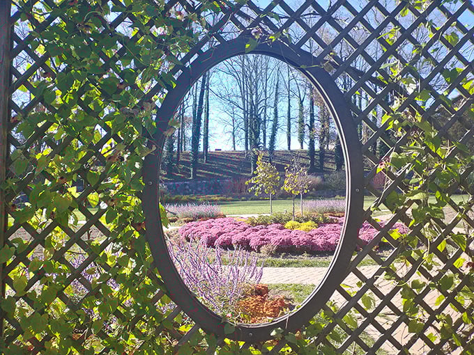 Peek-a-boo perfection! This oval window frames the garden view like nature's own masterpiece. Monet would've traded all his water lilies for this ready-made composition.