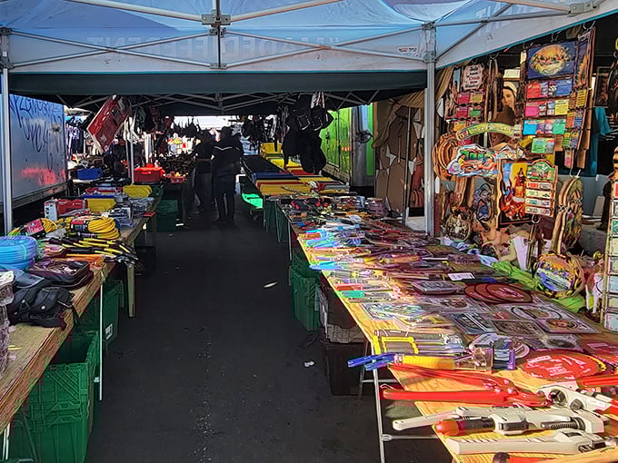 Treasure hunters navigate aisles packed with colorful wares. Each table is like a miniature department store without the markup or muzak.