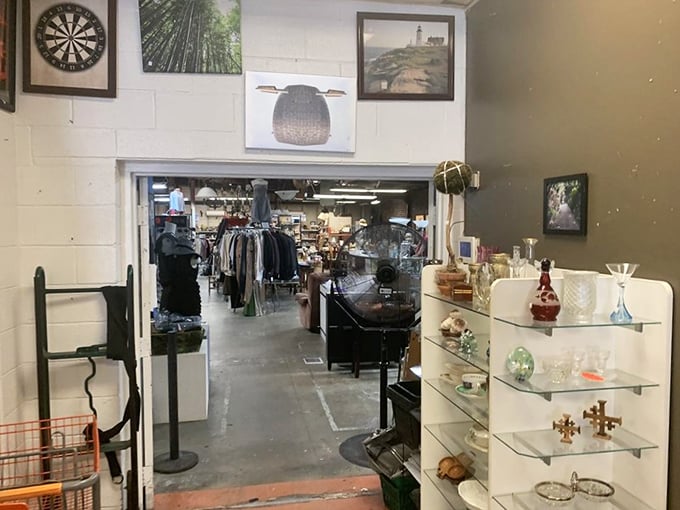 Peek through the looking glass into a world where every shelf tells a story. The display case offers glimpses of treasures past, present, and future.