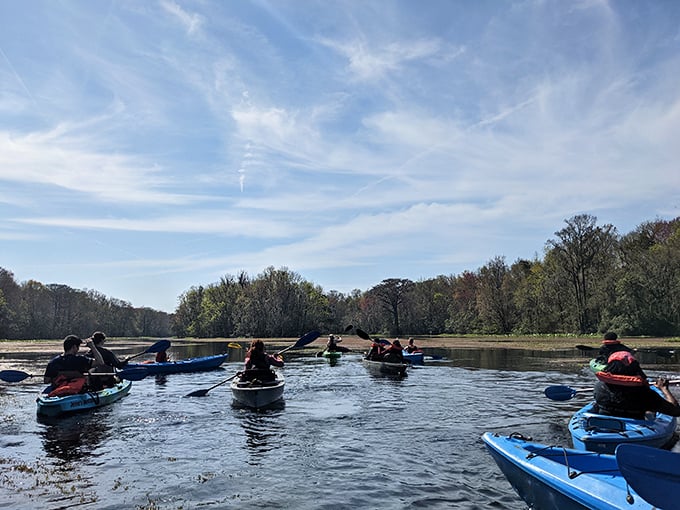 The original Florida cruise line—no buffet required. Paddlers navigate the gentle current while soaking in wilderness views untouched by development.