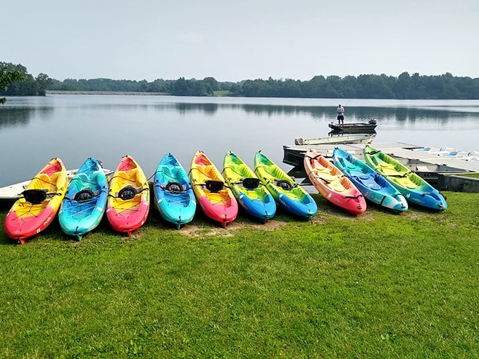A rainbow armada awaits adventure seekers. These kayaks aren't just boats; they're personal tickets to explore Memorial Lake's hidden corners.
