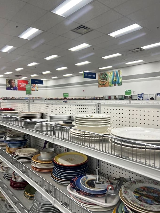 Plates that have served countless family dinners now await their next chapter. One person's discard, another's dinner party salvation!