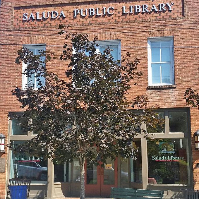 The Saluda Public Library isn't just for books—it's where the community's heart beats between brick walls and well-worn pages.