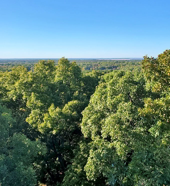 A sea of green stretches to the horizon, reminding us that Indiana isn't just cornfields—it's a verdant paradise waiting to be explored.