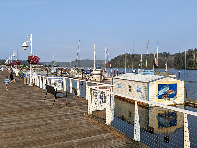 The marina boardwalk where boats bob and dreams of coastal living suddenly seem entirely reasonable.