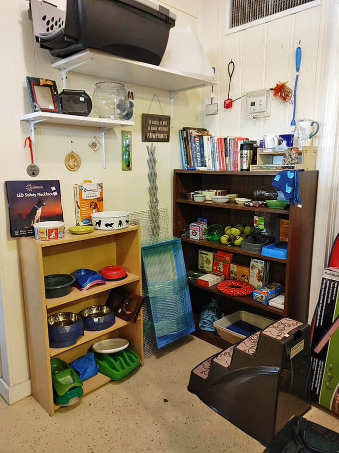 A pet paradise tucked into a corner. Even Fido deserves secondhand chic—those blue bowls have stories to tell.