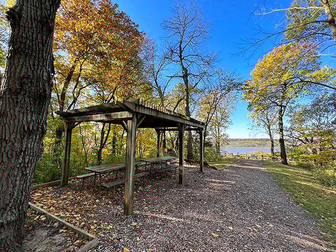 Picnic paradise with a view that makes your sandwich taste 37% better. Science can't explain it, but your taste buds won't argue.
