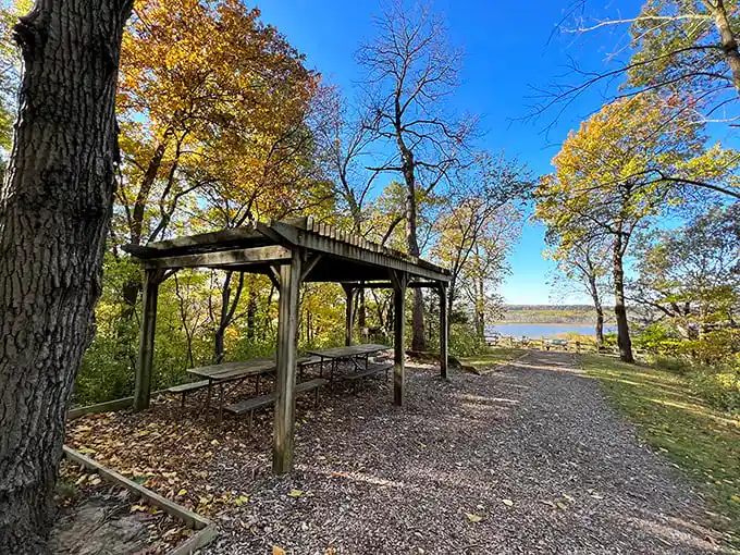 Picnic paradise with a view that makes your sandwich taste 37% better. Science can't explain it, but your taste buds won't argue.