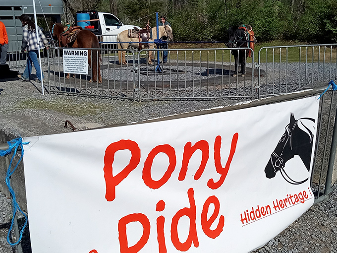 Childhood joy in its purest form! The pony ride area offers little ones a magical break from shopping—creating memories that last longer than any purchase.