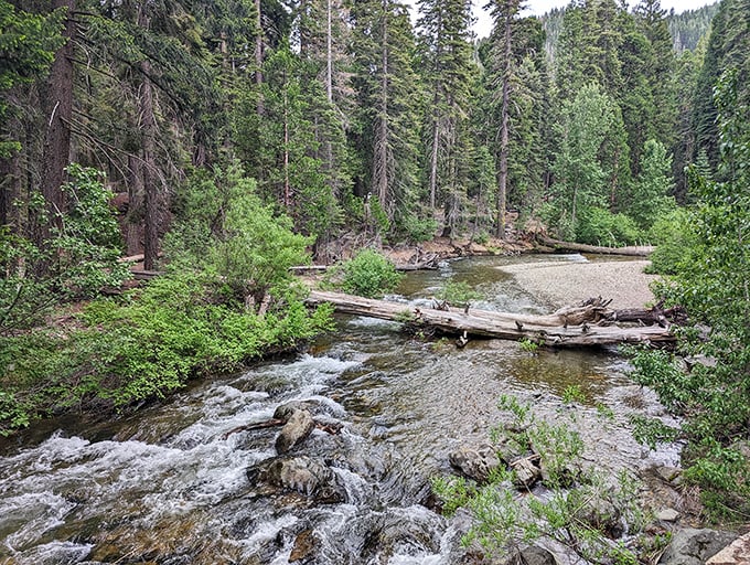 Who needs meditation apps when you've got this? The gentle babble of Jamison Creek provides the soundtrack to Sierra serenity.