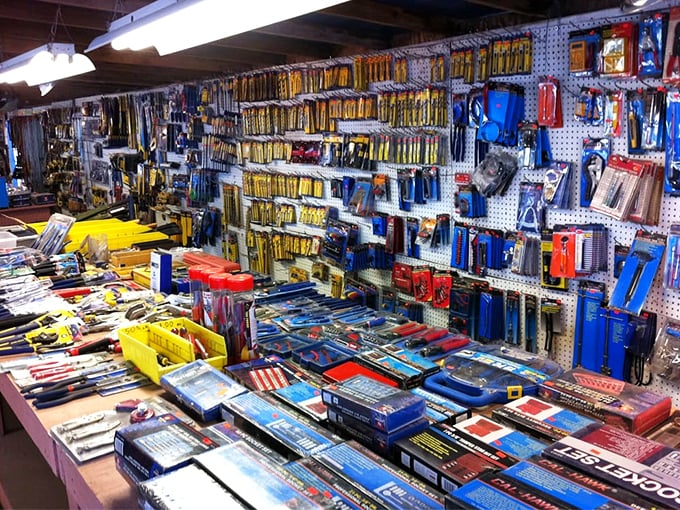 Tool heaven for the handy and hopeful alike. This pegboard paradise contains enough implements to build a small civilization or at least fix that wobbly table.