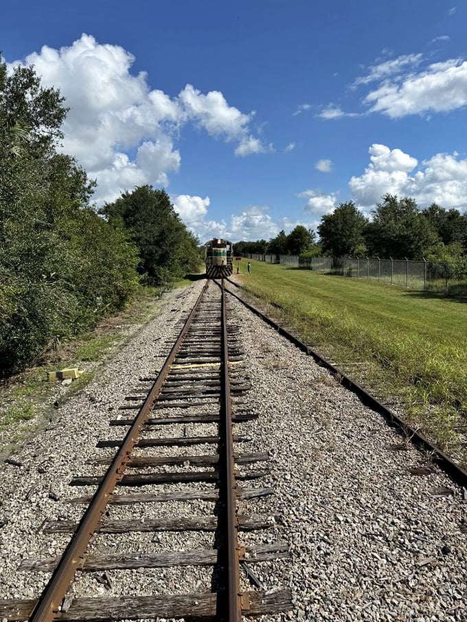 These tracks stretch toward the horizon like a promise of adventure, reminding us that sometimes the journey truly is the destination.
