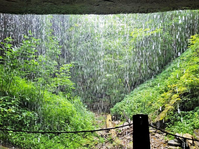 Standing behind the falls feels like being in nature's shower stall—minus the awkward loofah moment. The curtain of water creates a mesmerizing veil between you and the outside world.