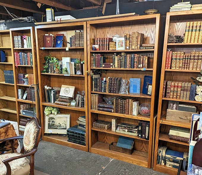 Not just books—time machines bound in leather. Each shelf holds stories waiting to be rediscovered, their spines telling tales before you even open them.