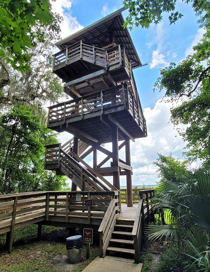 This observation tower isn't just a stairway to heaven—it's your ticket to spotting wildlife while getting your steps in. Fitness with a view!