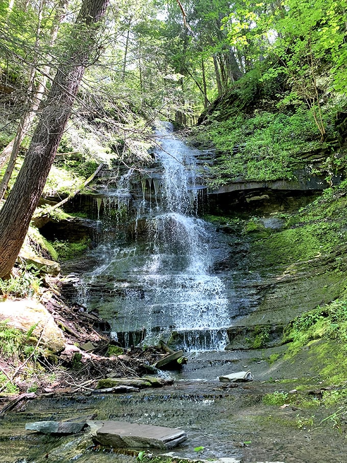 This cascade doesn't need Instagram filters – Mother Nature's already perfected the lighting, sound effects, and that impossible-to-fake serenity.