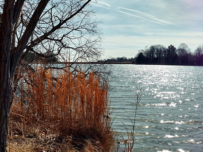 Where the Chesapeake meets the sky – a watercolor painting come to life, with amber reeds providing the perfect splash of contrast.