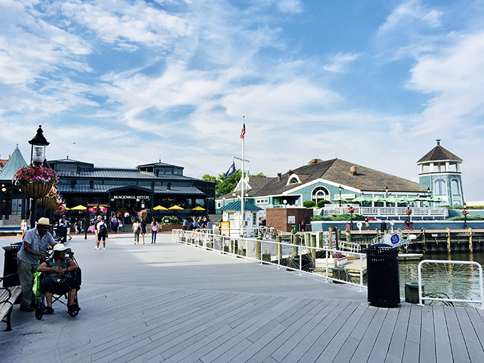 Alexandria's waterfront boardwalk offers million-dollar views at public park prices. Where boats bob gently and worries seem to drift away with the tide.