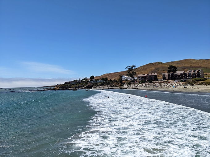 Cayucos from above – where beach town charm remains delightfully stuck in a time when "viral" only referred to the common cold.