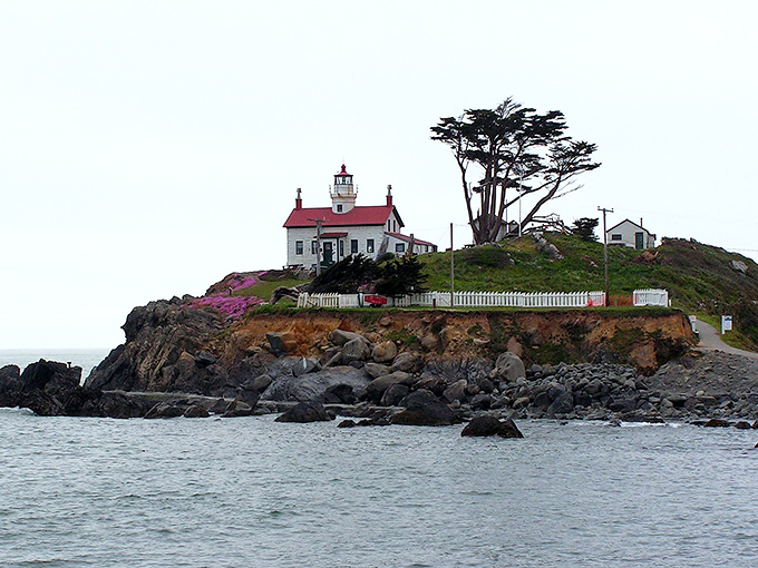 Crescent City's historic lighthouse stands sentinel on its rocky perch, a postcard-perfect scene that's worth the tide-timed trek.