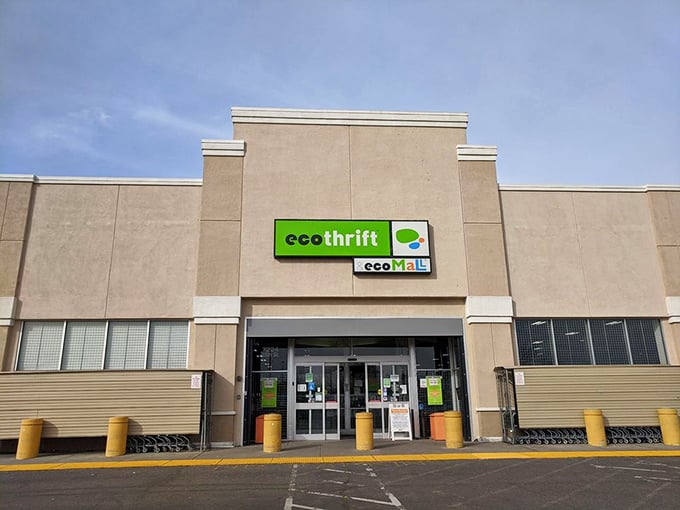 Eco Thrift's clean, modern storefront promises organized treasure hunting inside. The lime green logo signals savings that are kind to both wallet and planet.