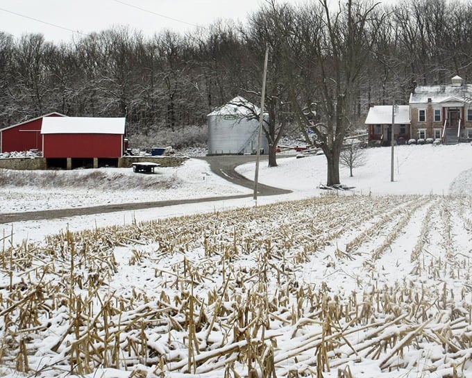 Winter's quiet beauty blankets the farms along Lower Valley Pike Scenic Byway, where red barns pop against the snow like holiday cards come to life.