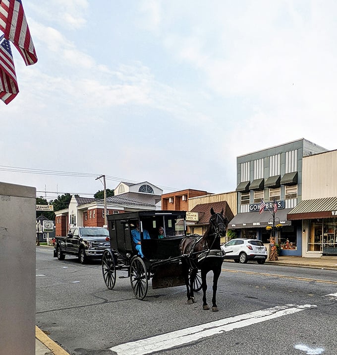 Where modern meets tradition! In Middlebury, black buggies navigate downtown streets alongside pickup trucks—the ultimate mixed-use transportation corridor.