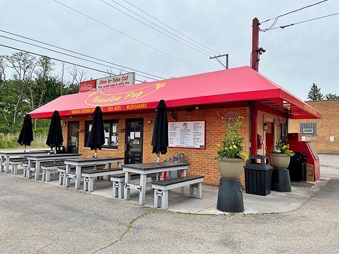 Paradise Pup's cherry-red awning promises shelter from ordinary burgers and a gateway to flavor heaven.