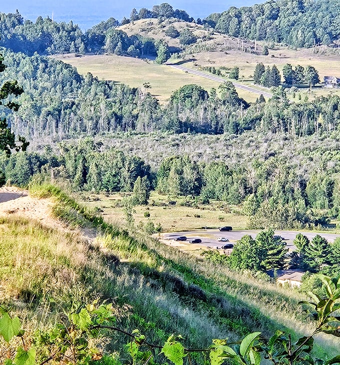 Mountain or Michigan? This dramatic alpine-like road carves through golden hillsides with breathtaking precision.