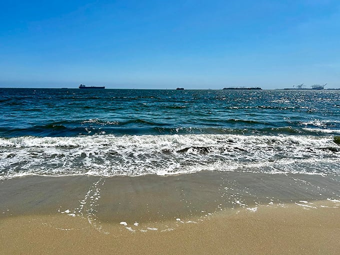 The ocean sparkles like diamonds under that California sun. Ships on the horizon, but the real treasures are running free on shore.