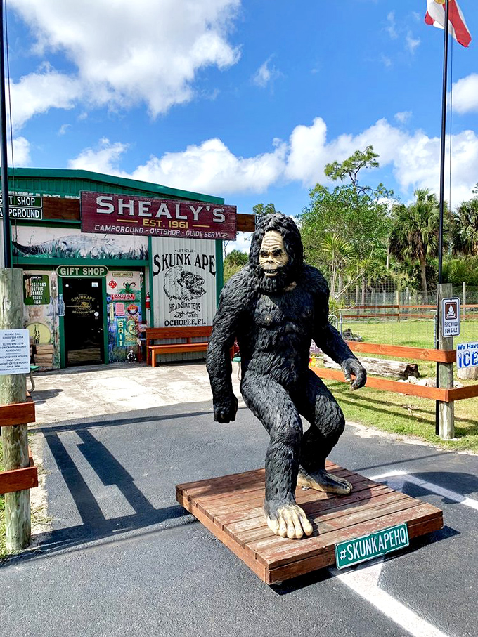 Bigfoot's smelly Florida cousin has his own research center! This Skunk Ape statue guards the entrance to cryptid headquarters.