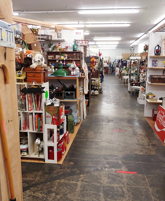 Traderbaker's indoor aisles – where one person's forgotten knickknacks become another's prized possessions. The thrill of the hunt!