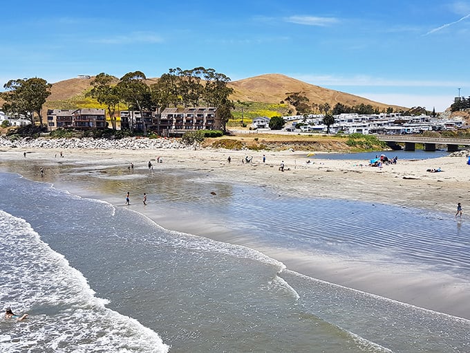 Those rugged cliffs protecting Cayucos Beach look like they were designed by a Hollywood set director with excellent taste.
