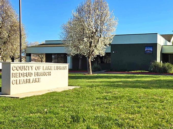 Books and blossoms – Clearlake's library stands like a love letter to knowledge under that perfect California sky. That flowering tree is Mother Nature's exclamation point!