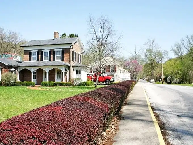 Elsah's historic district feels like someone shrunk a New England village and tucked it between Illinois bluffs.
