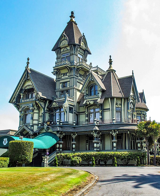 Nature's cathedral of cypress trees creates magical pathways in Eureka – million-dollar experiences that cost absolutely nothing.