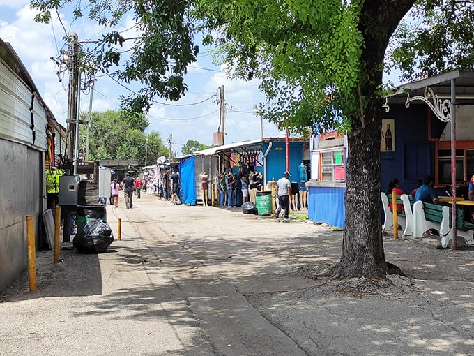 Where worlds collide! Simple stalls and colorful storefronts create the perfect backdrop for Houston's multicultural marketplace magic.