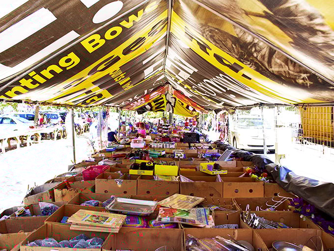 Treasure hunting by the boxful! Dig through these bins and you might just strike gold.