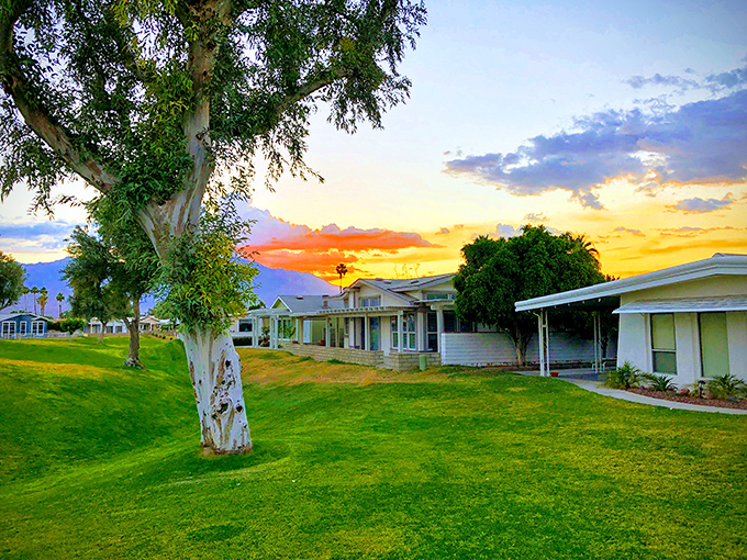 Sunset paints the sky over Palm Desert Greens. When the day ends this beautifully, who needs expensive entertainment?