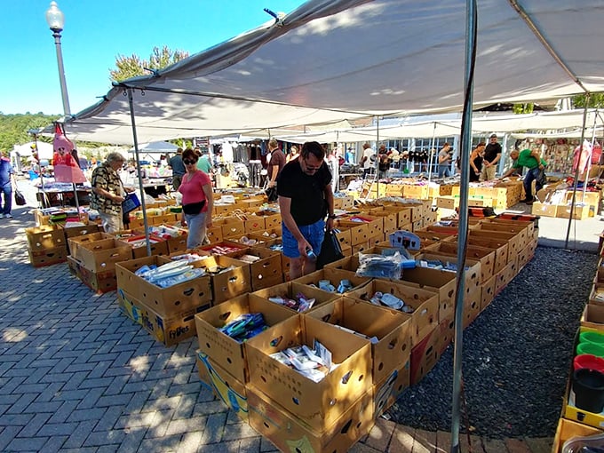 Under open skies and shade canopies, the outdoor section of Pocono Bazaar is a hands-on hunt through rows of bargain bins and unexpected finds.
